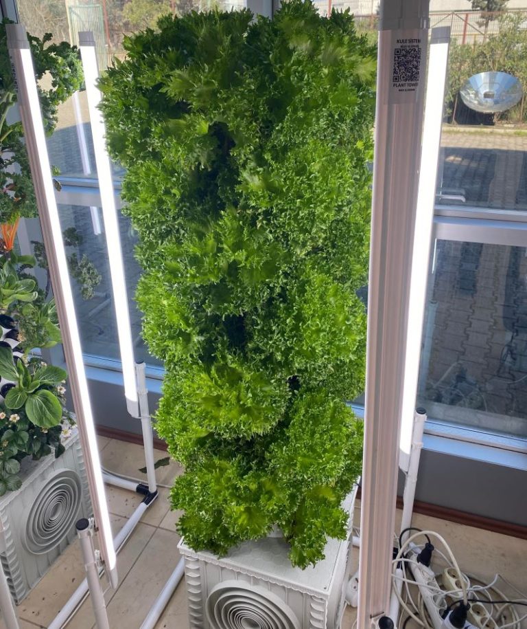 Dikey Tarım – Led Lambalı Sistem – 120 Bitki